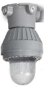 Explosion Proof Remote Head Emergency Lighting